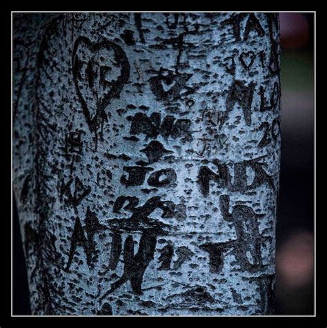 30 000 Haunted Tree Text Effect Pictures