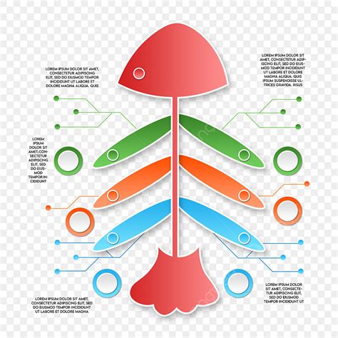 Fishbone Diagram White Transparent Realistic Fishbone Web Infographic