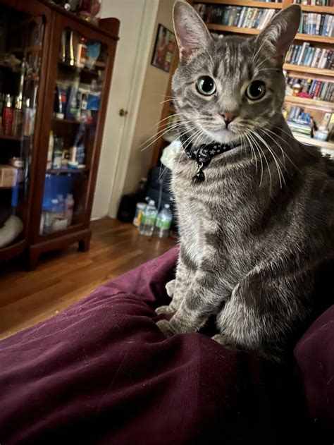 Coprime Integers Rmadeinpython