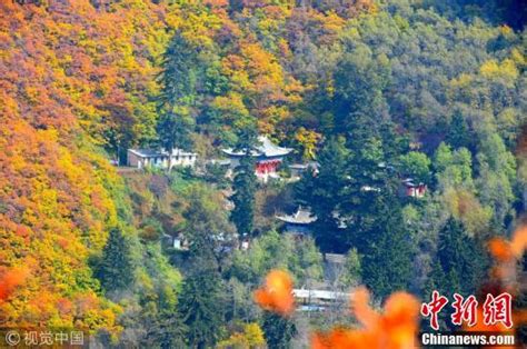 蘭州興隆山層林盡染 秋色美如畫 每日頭條