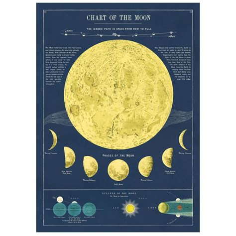 Moon Phases Diagram From Space