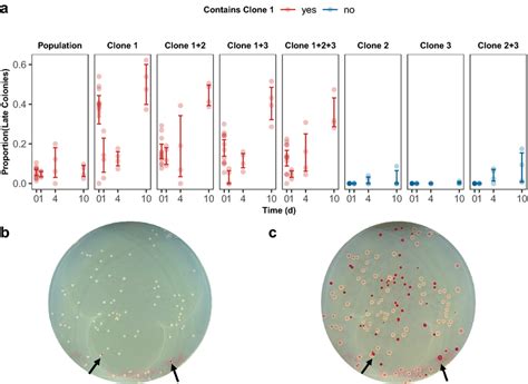 Heterogeneity Of Colony Development In Evolved Lines Athe Proportion Of