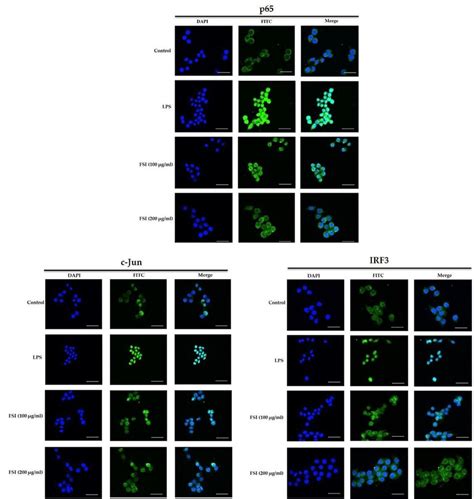 Uplc Chromatograms Of Chlorogenic Acid And Rutin In Different Samples Download Scientific