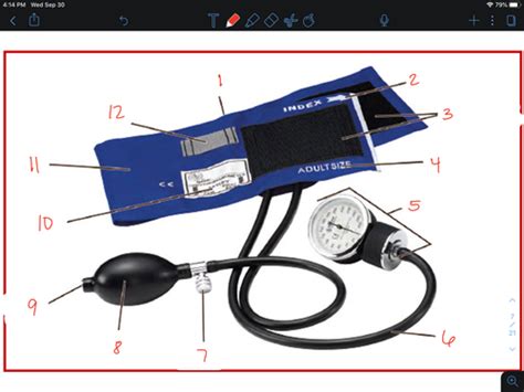 Bp Cuffstethoscope Labeling Flashcards Quizlet