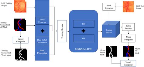 Workflow Of Automatic Deep Learning Based Vessel Segmentation And Av Download Scientific