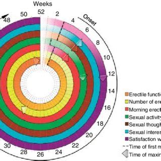Time Course On Sexual Parameters Download Scientific Diagram