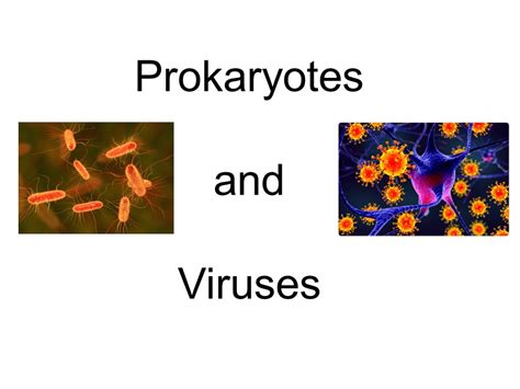 Ppt Prokaryotes Powerpoint Presentation Free To Download Id 960625 Zduxn
