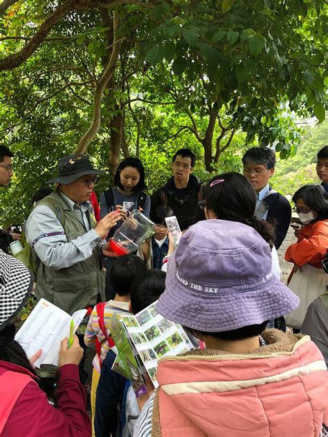 蝶會台北捷運免費賞蝶導覽金龍寺 環境資訊中心