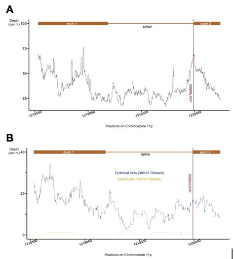 Rna Seq Data Processing Results Depth Of Coverage Spanning Chromosome Download Scientific