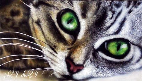 Realistic Cat Drawing By Jaycarts On Deviantart