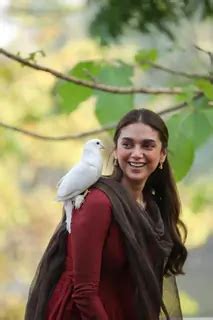 Aditi Rao Hydari In Her Debut Malayalam Film Sufiyum Sujatayum