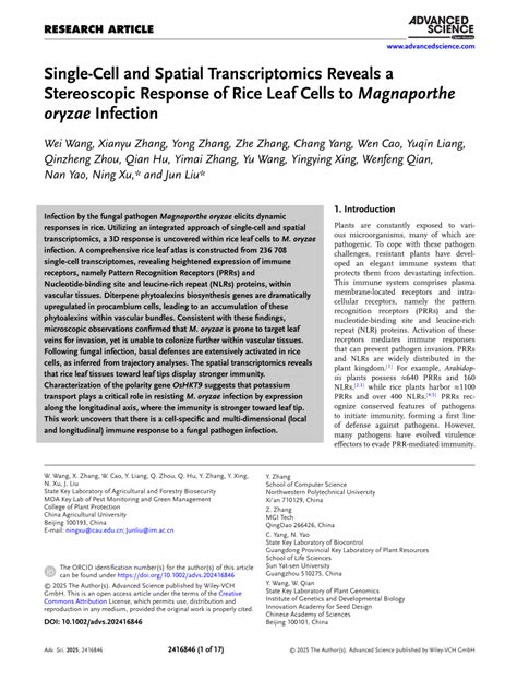 Pdf Single‐cell And Spatial Transcriptomics Reveals A Stereoscopic