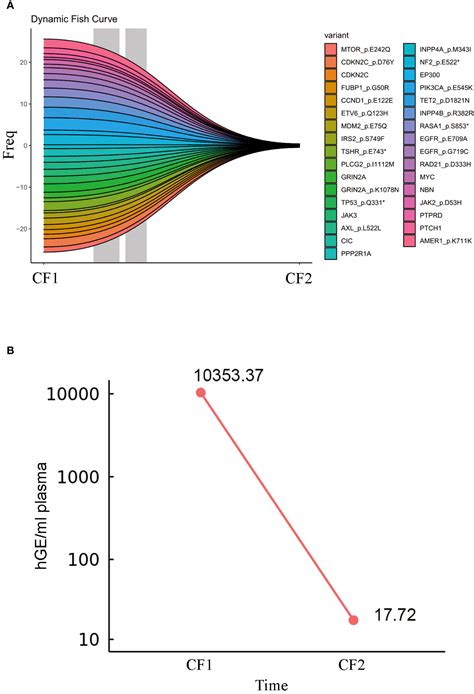 Keratinizing Squamous Cell Carcinoma