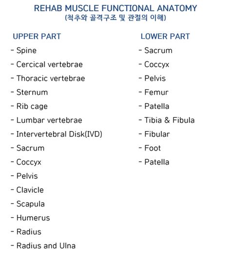 8월 3개월 과정 취업실무 단기반 국제재활필라테스 지도자 교육 개강안내 모집중 교육일정 국제필라테스지도자협회