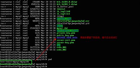 Linux 中修改mysql8028默认的3306端口防止被端口扫描入侵修改mysql3306端口 Csdn博客