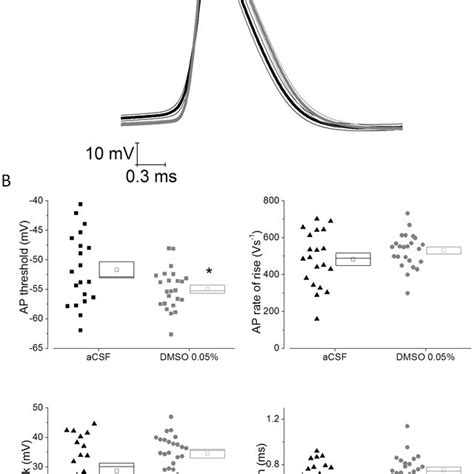 Hippocampal Slices Are Amenable To Mea Recording A Schematic
