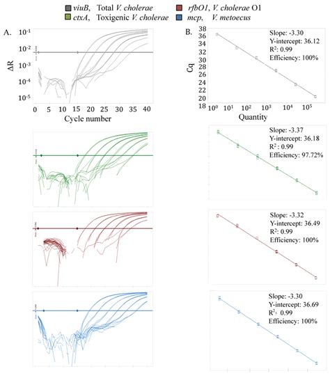 Multiplex Real Time Qpcr For Simultaneous Detection And Quantification Download Scientific