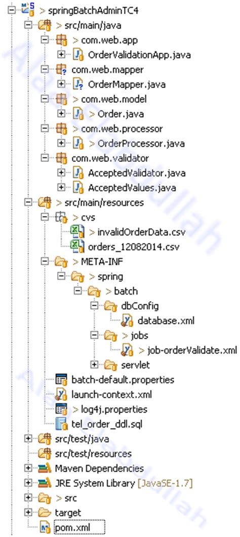 Spring Batch Validate Input Data