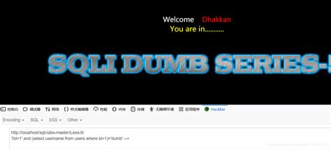 Sqli Labs靶场第五关sqli Labs Pass5 Burps Csdn博客