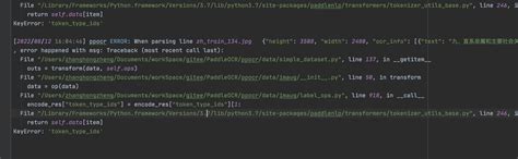 Ppstructure Vqa训练报错 · Issue I5m35b · Paddlepaddlepaddleocr