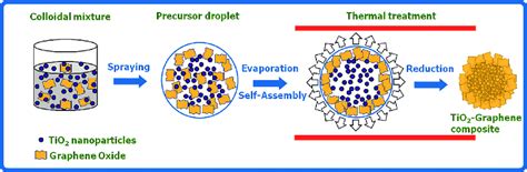 Schematic Illustration Of The Formation Of Tio 2 Gr Composite From Download Scientific Diagram