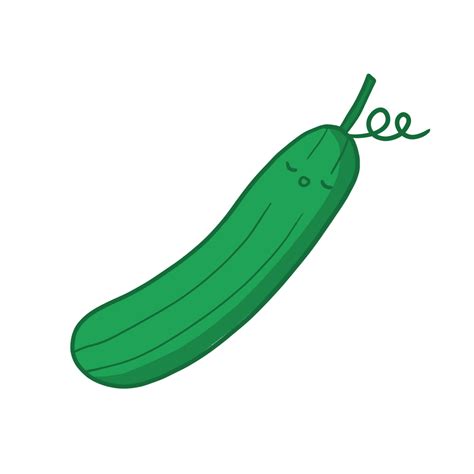 Cute Cucumber Illustration 23225188 Png