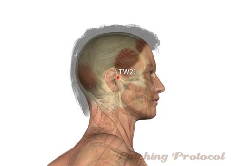 Special Cases Patching Protocol