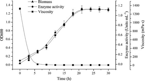 The Curve Of Cell Growth Enzyme Synthesis And Fermentation Broth