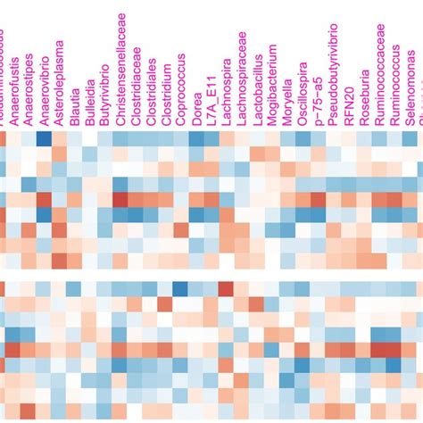 Associations Between Rumen Bacteria And Fermentation Profiles