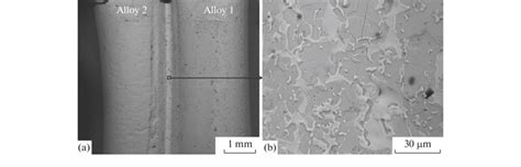 A Samples Of Tini Based Alloys Sintered At 1135°c For 1 H And B Download Scientific Diagram