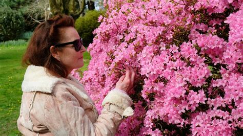 Красивите стайни растения които не изискват грижи