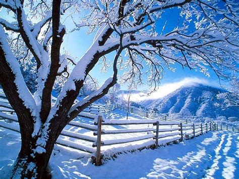 Winter Nature Backgrounds Wallpaper Cave