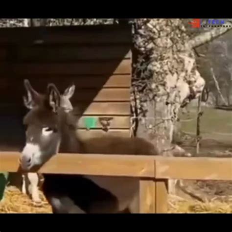 Tech Integrators On Linkedin Cloudhosting Techintegrators Affordablehosting 24x7support