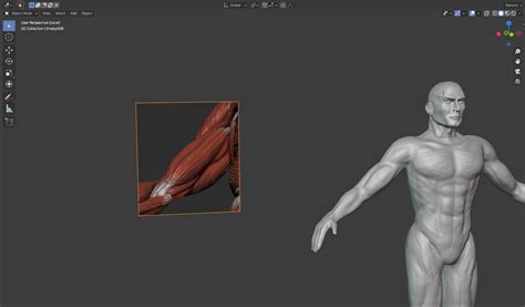 Camera Can I Lock A Reference Image To View Blender Stack Exchange