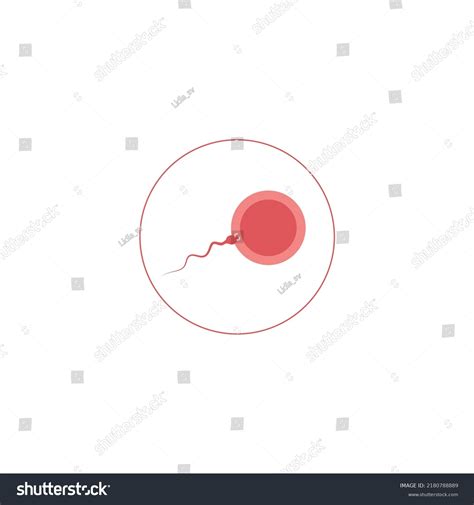 Insemination Icon Fertilization Impregnation Concept Vector Stock