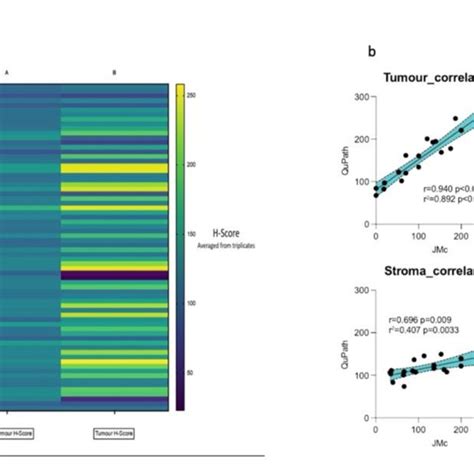 Figure S3 Quantitative Pten Ihc A Heatmap With Average H Score In