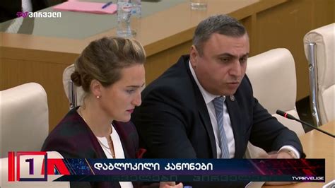 ხმაური და დაპირისპირება კომიტეტის სხდომაზე დაბლოკილი კანონების გამო Youtube