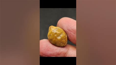 سلطاني Youtube