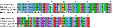 Multiple Sequence Alignment Download Scientific Diagram