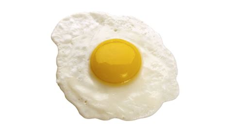 Fried Egg Blank Template Imgflip