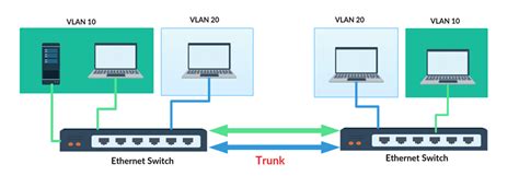 Network With Two VLANs Download Scientific Diagram