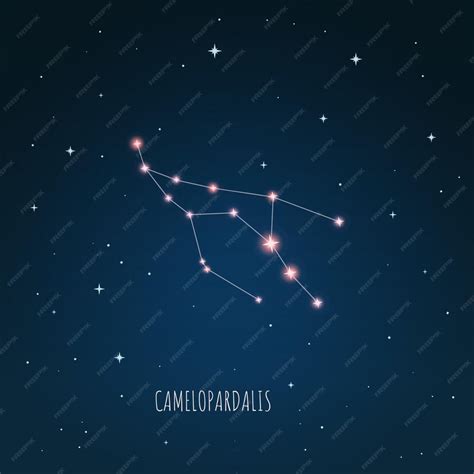 Premium Vector Constellation Camelopardalis Scheme In Starry Sky