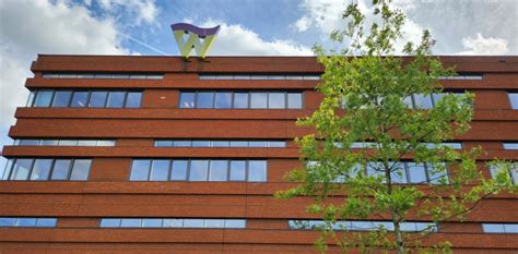 Gemeente Waalwijk Wil Criminaliteit Onder Jeugd Verminderen