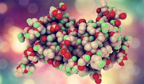 Hormona Del Crecimiento ¿cuáles Son Sus Funciones