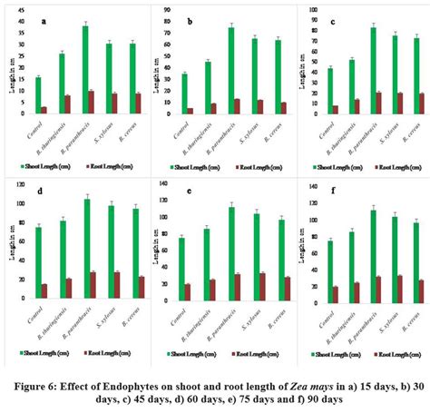 Nitrogen Fixing Activity Of Endophytic Bacteria Associated With