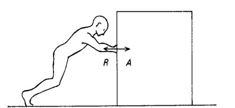 2 Force A Acting On A Man Counteract By An Equal And Opposite Force