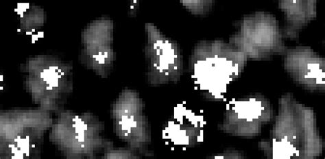 C Detecting Peaks In Images Stack Overflow