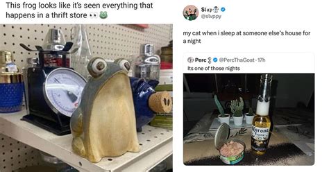 Garfield Memes 35 Memes About The Timeless Cat