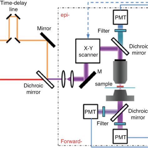 Optical Path Diagram Of A Cars Microscope [4] Download Scientific Diagram