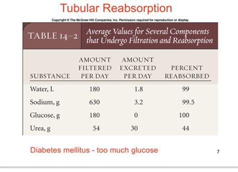Lecture 17 Module 3 Flashcards Quizlet